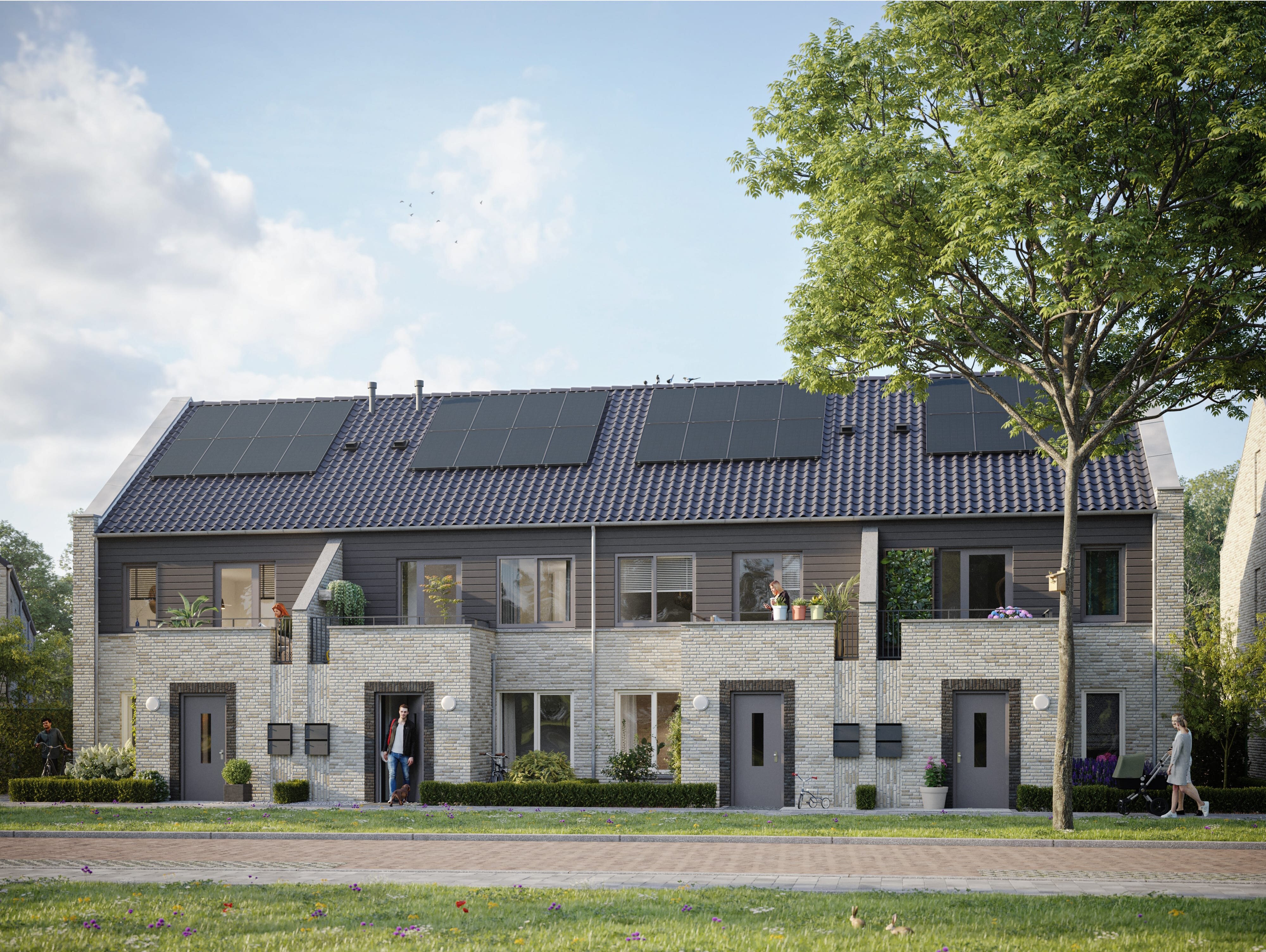 Bebo-boven - Bnr. 349 - Fase 3 in HoogeBerkt in Bergeijk | Whoon